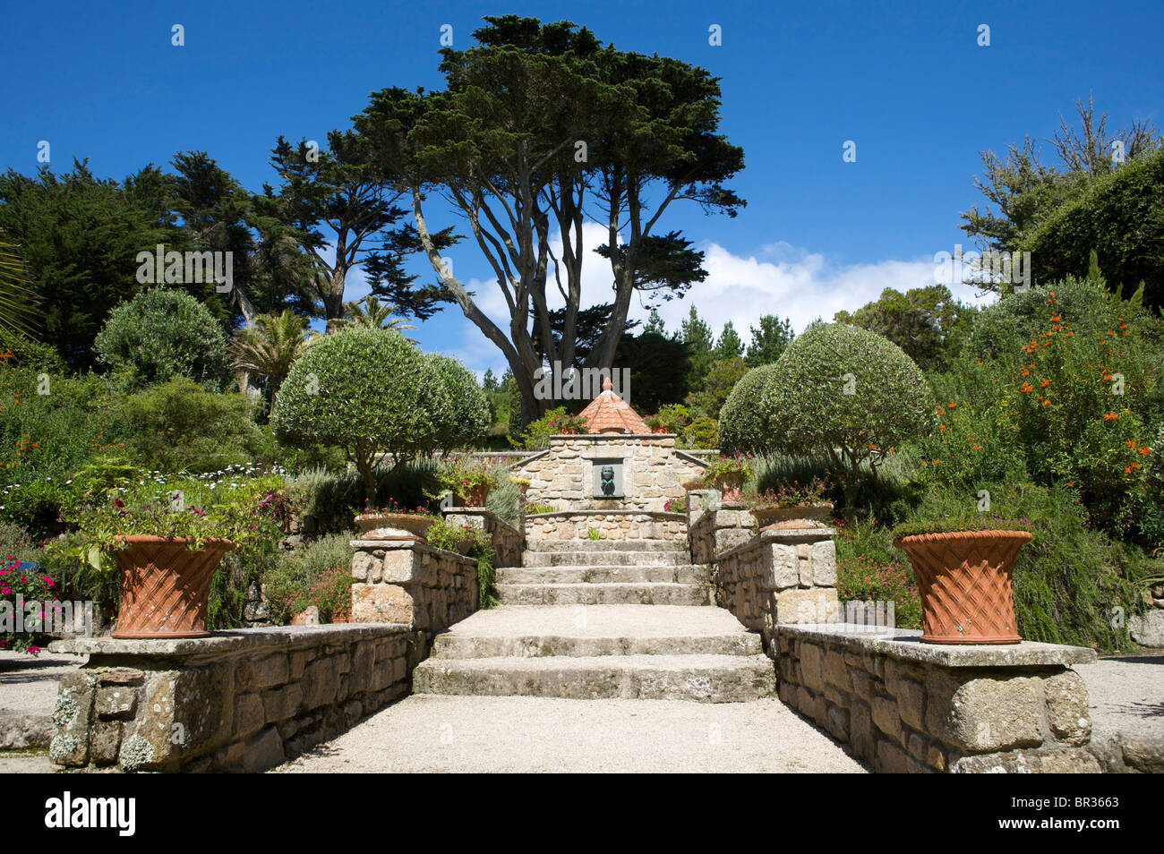 Tropical Abbey Garden, Tresco, Isles of Scilly Stock Photo - Alamy