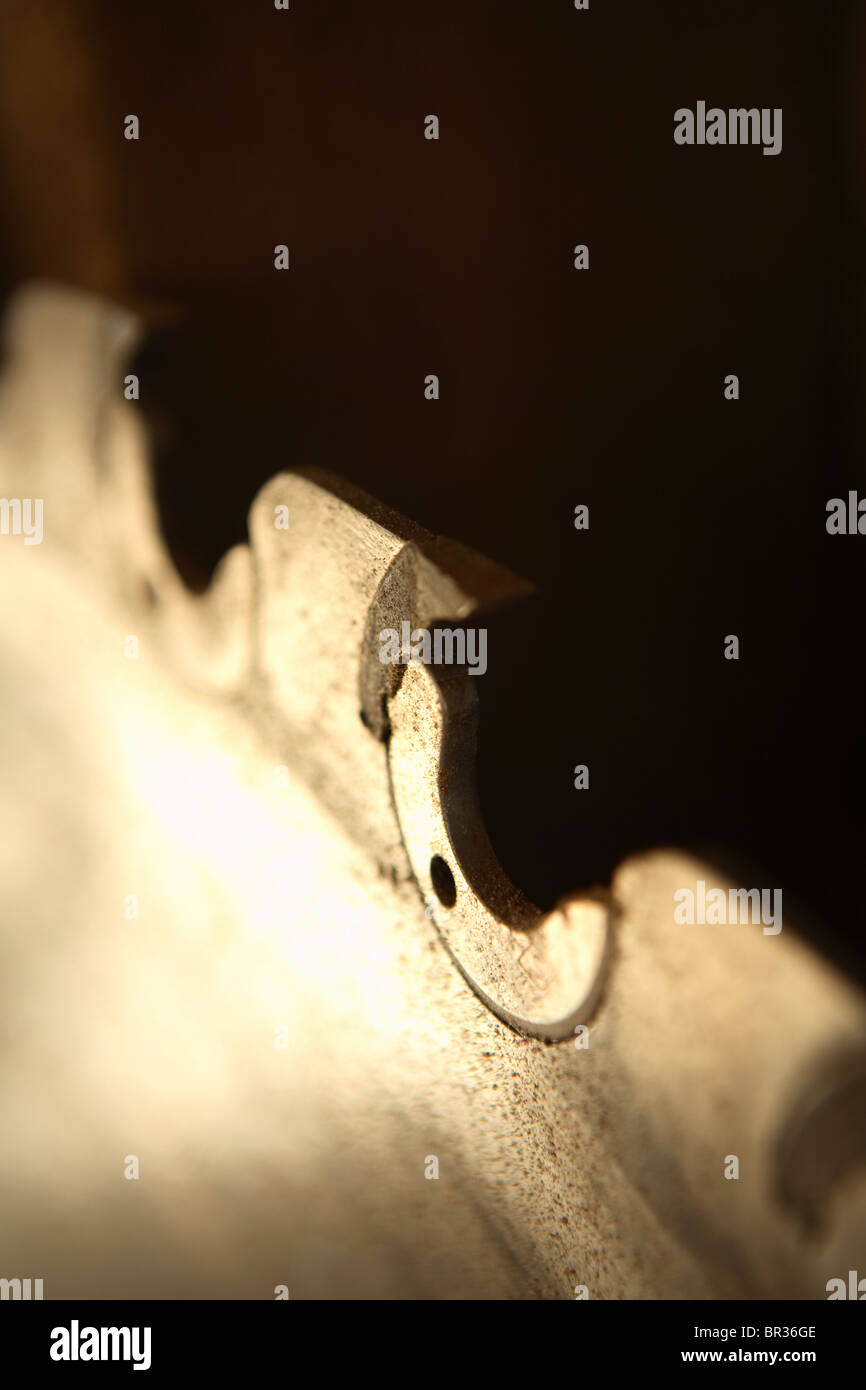 The razor-sharp carbide teeth on the massive 50+ inch blade at the ...