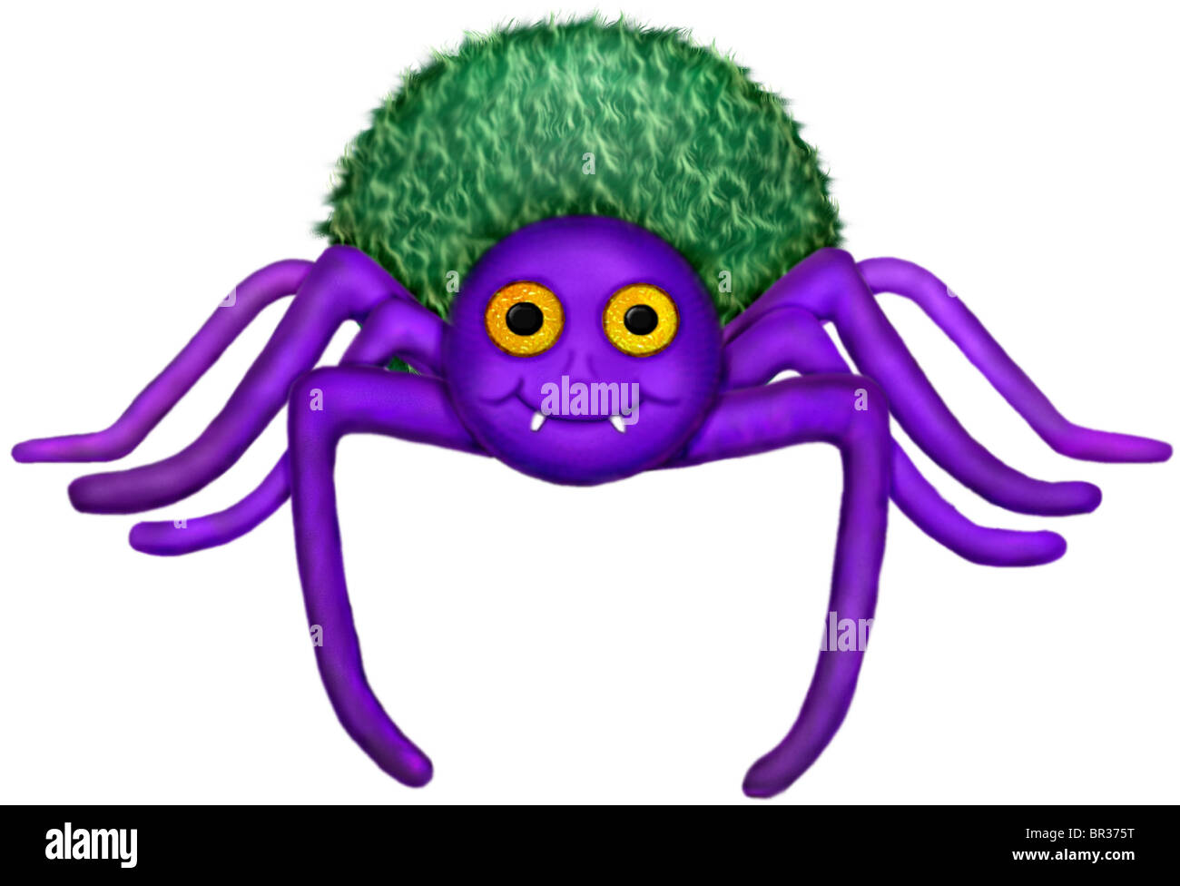 A friendly looking spider Stock Photo - Alamy