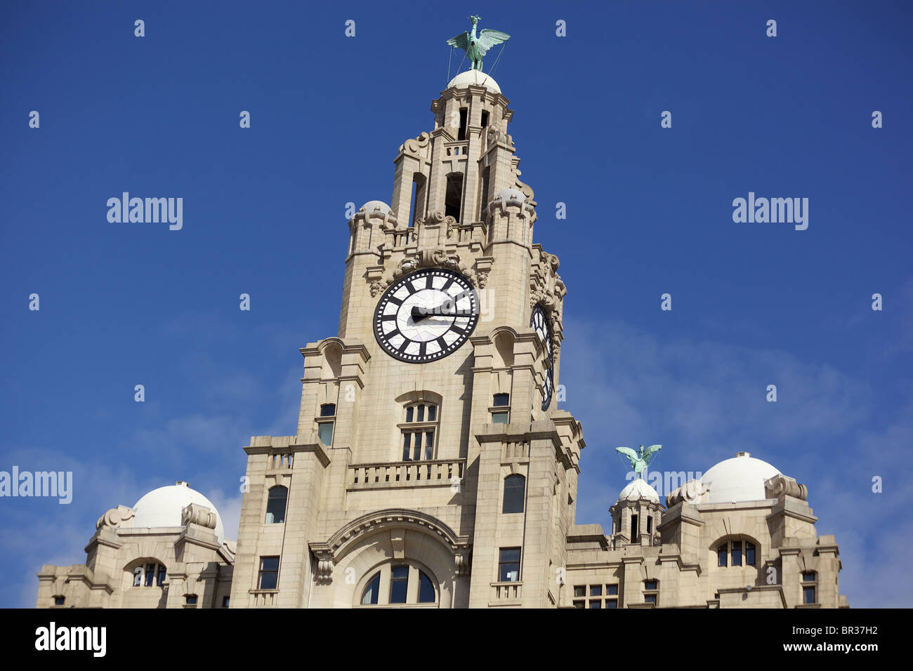 The Royal Liver building in Liverpool and clock and Liver bird Stock ...