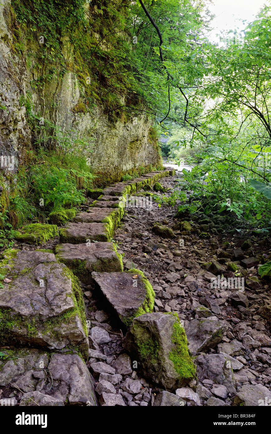 stepping stones chee dale derbyshire england UK Stock Photo - Alamy