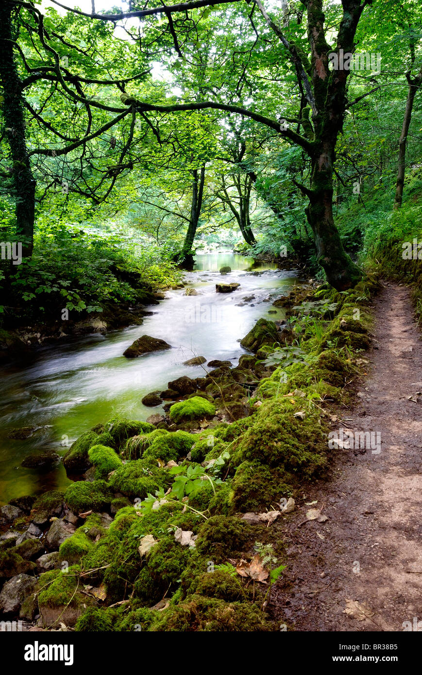 river wye chee dale derbyshire peak district UK Stock Photo - Alamy