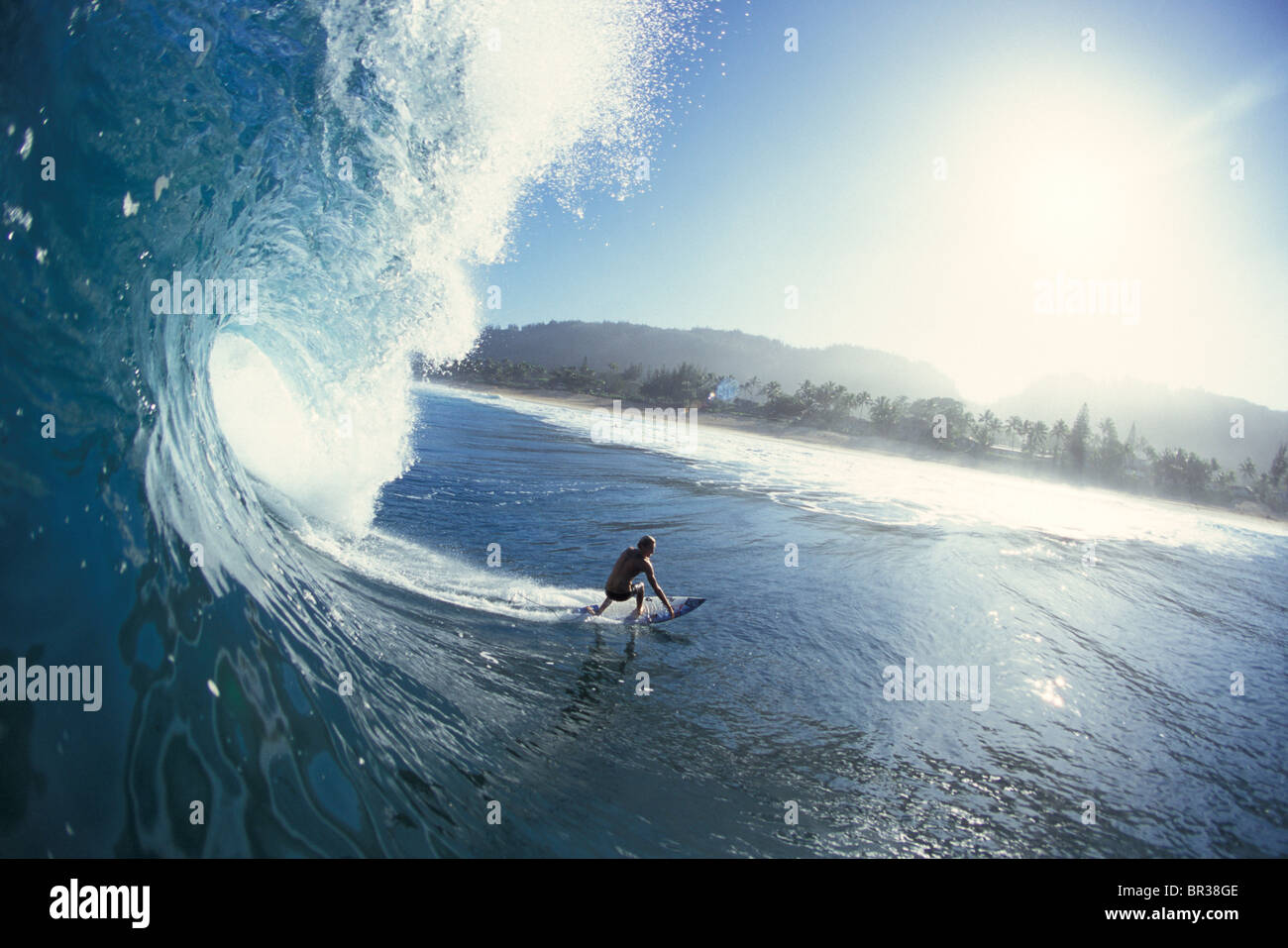 surfing big waves in Hawaii Stock Photo - Alamy