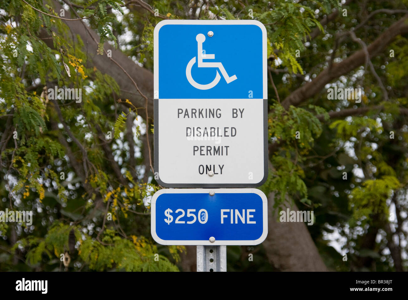Disabled parking space sign, USA Stock Photo - Alamy