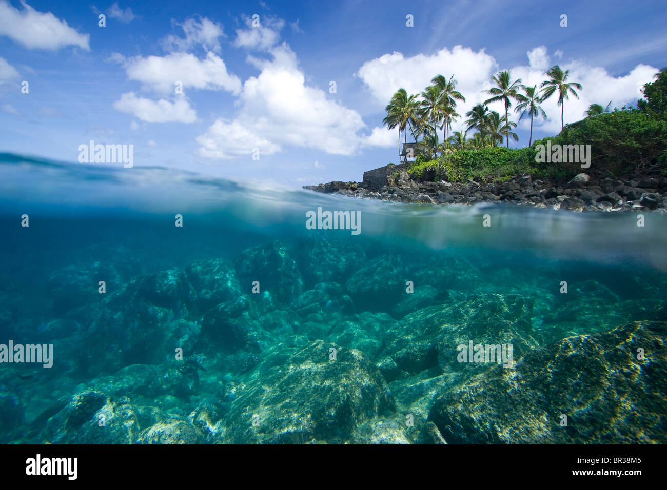 split levelview of waimea Point, Hawaii Stock Photo - Alamy