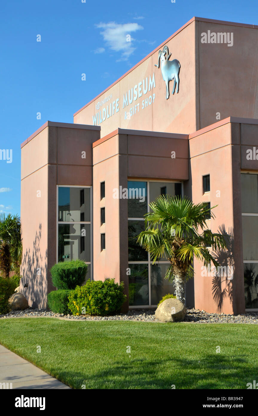 American information center hi-res stock photography and images - Alamy