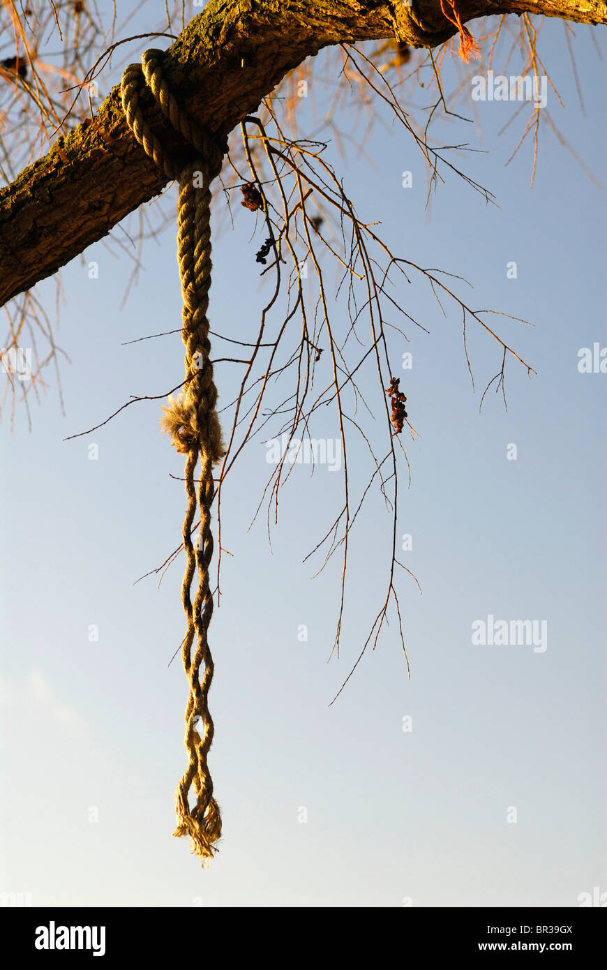 Torn hanging rope Stock Photo - Alamy