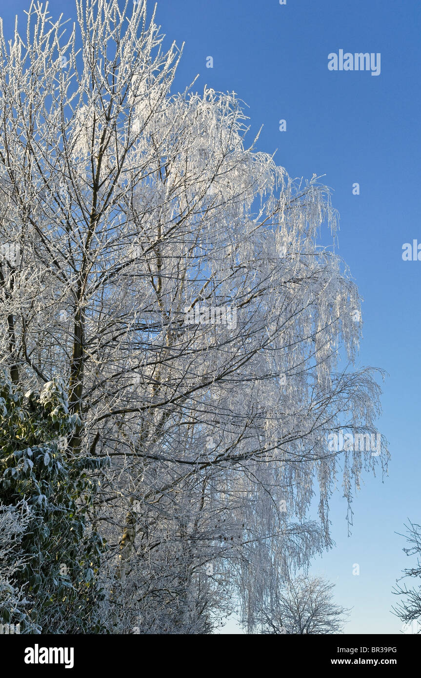 Winter schnee landschaften hi-res stock photography and images - Alamy