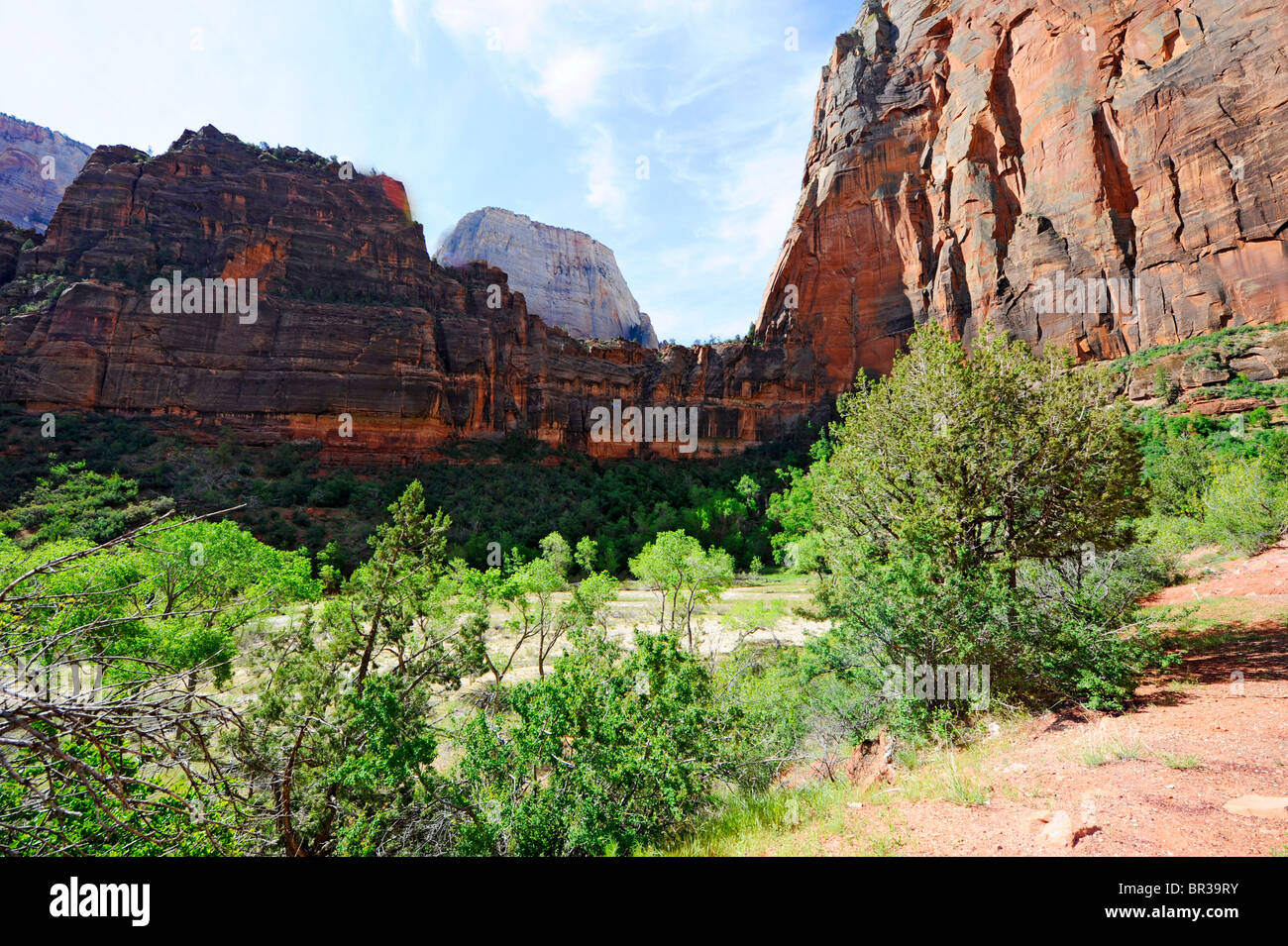 Big Bend Area Mount Zion National Park Utah Stock Photo - Alamy