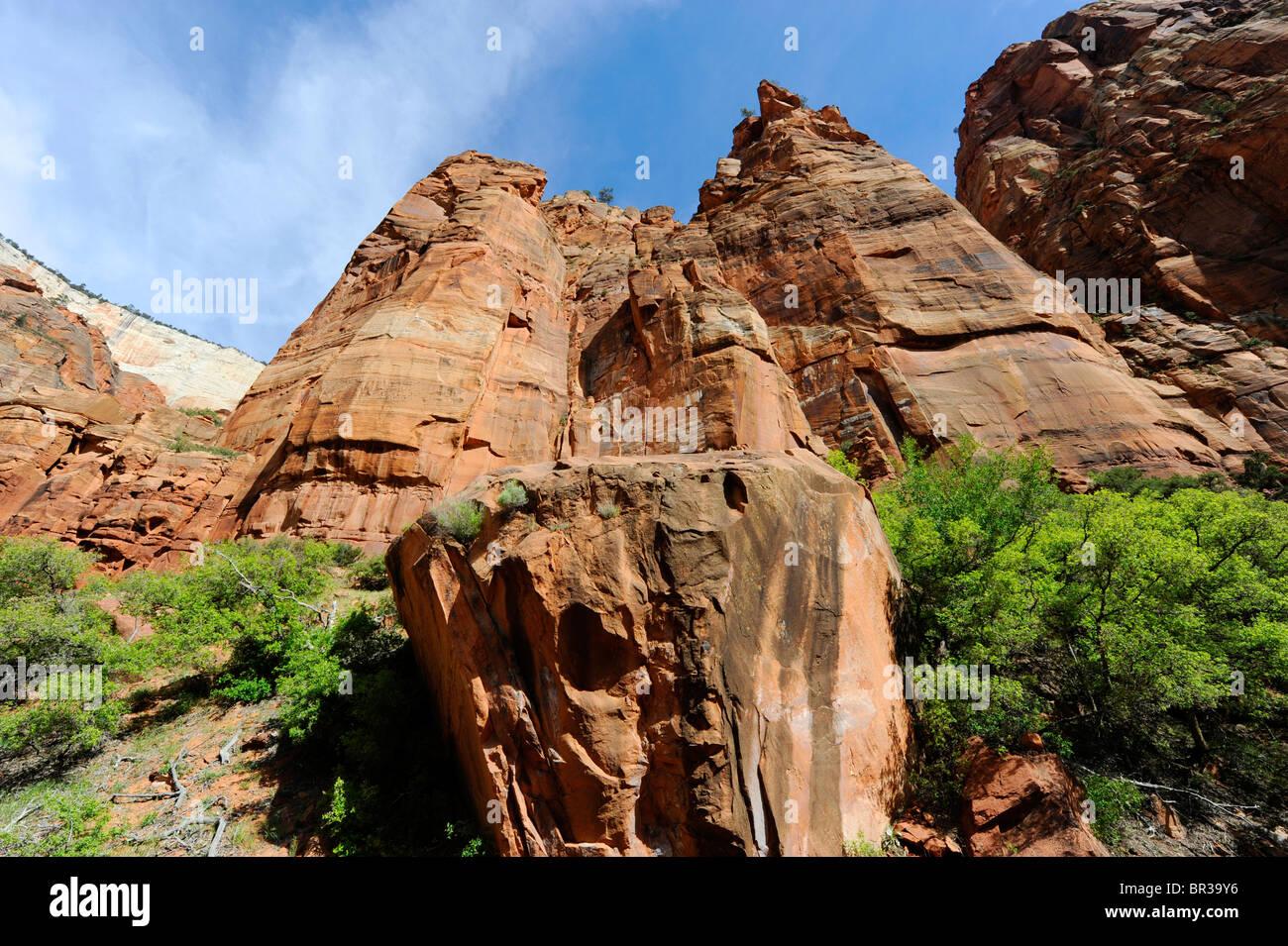 Big Bend Area Mount Zion National Park Utah Stock Photo - Alamy