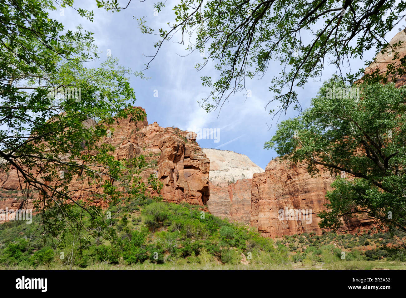 Zion weeping rock formation hi-res stock photography and images - Alamy