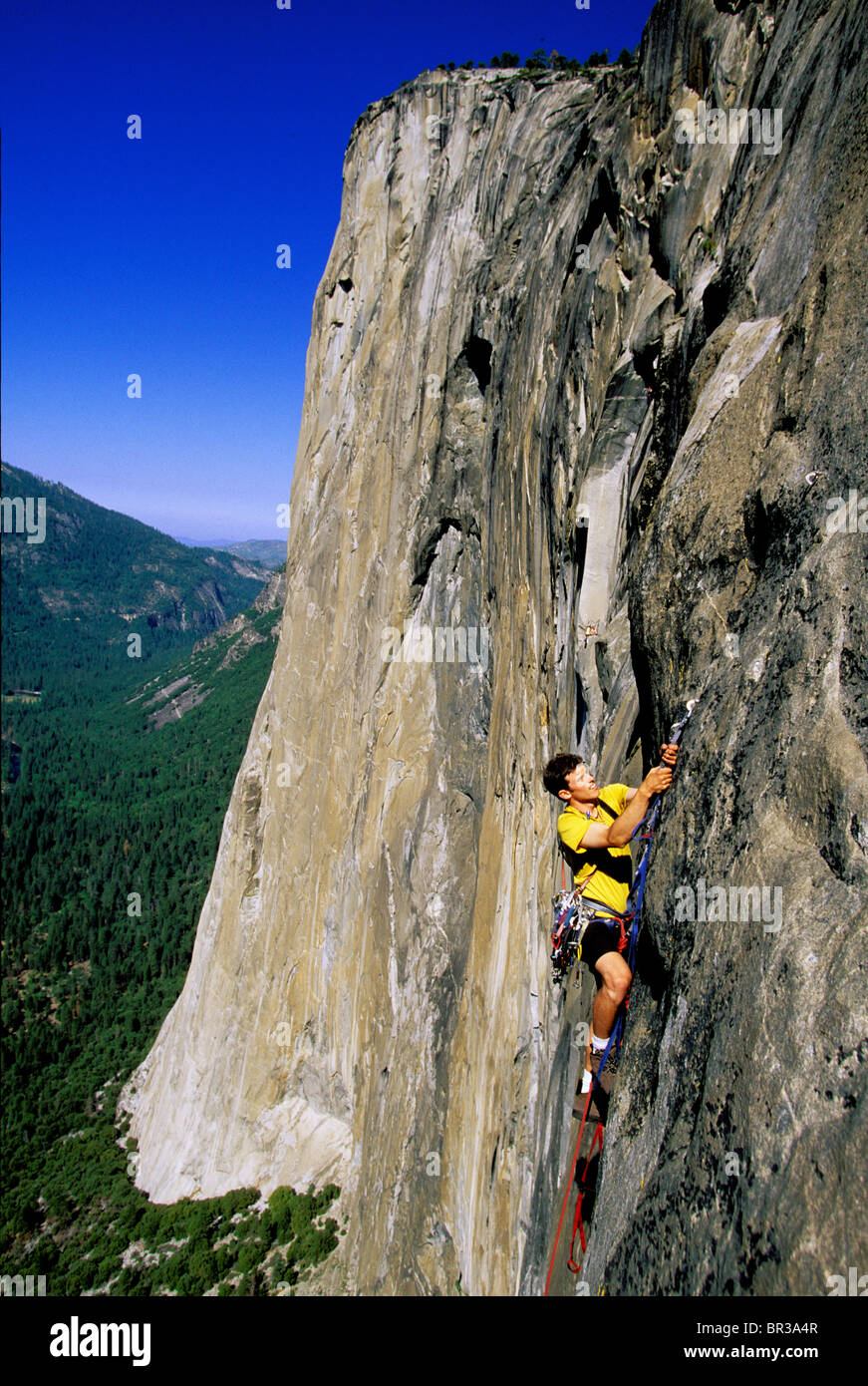Male climber jugging on a big wall Stock Photo - Alamy