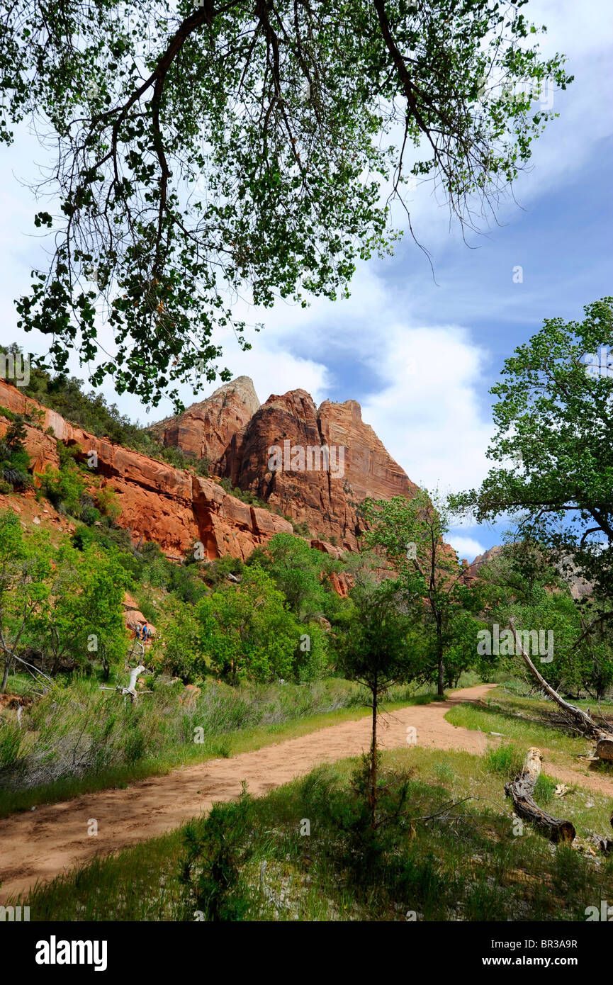Emerald Pools Trail Mount Zion National Park Utah Stock Photo - Alamy