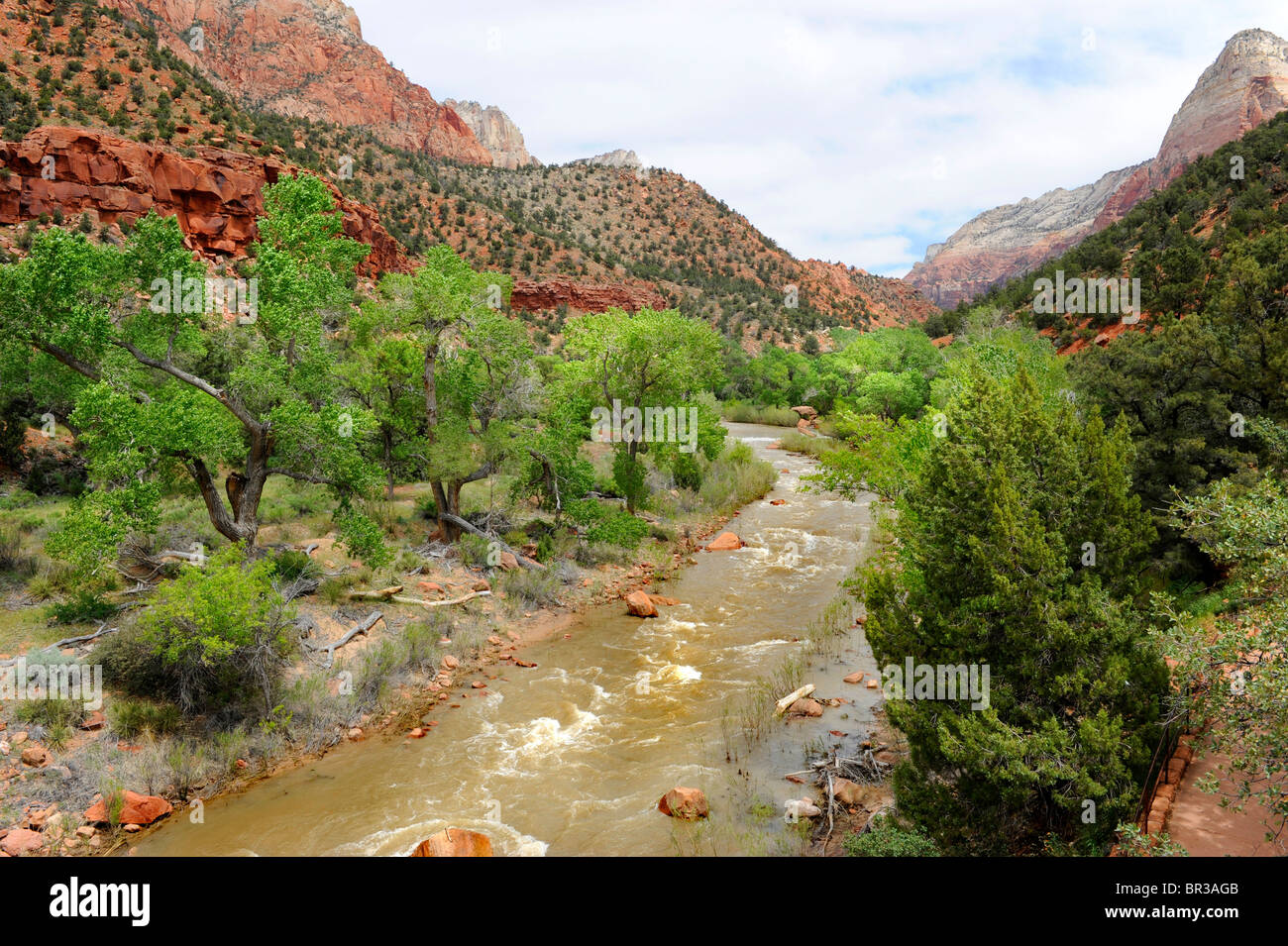 Canyon Junction Area Mount Zion National Park Utah Stock Photo - Alamy