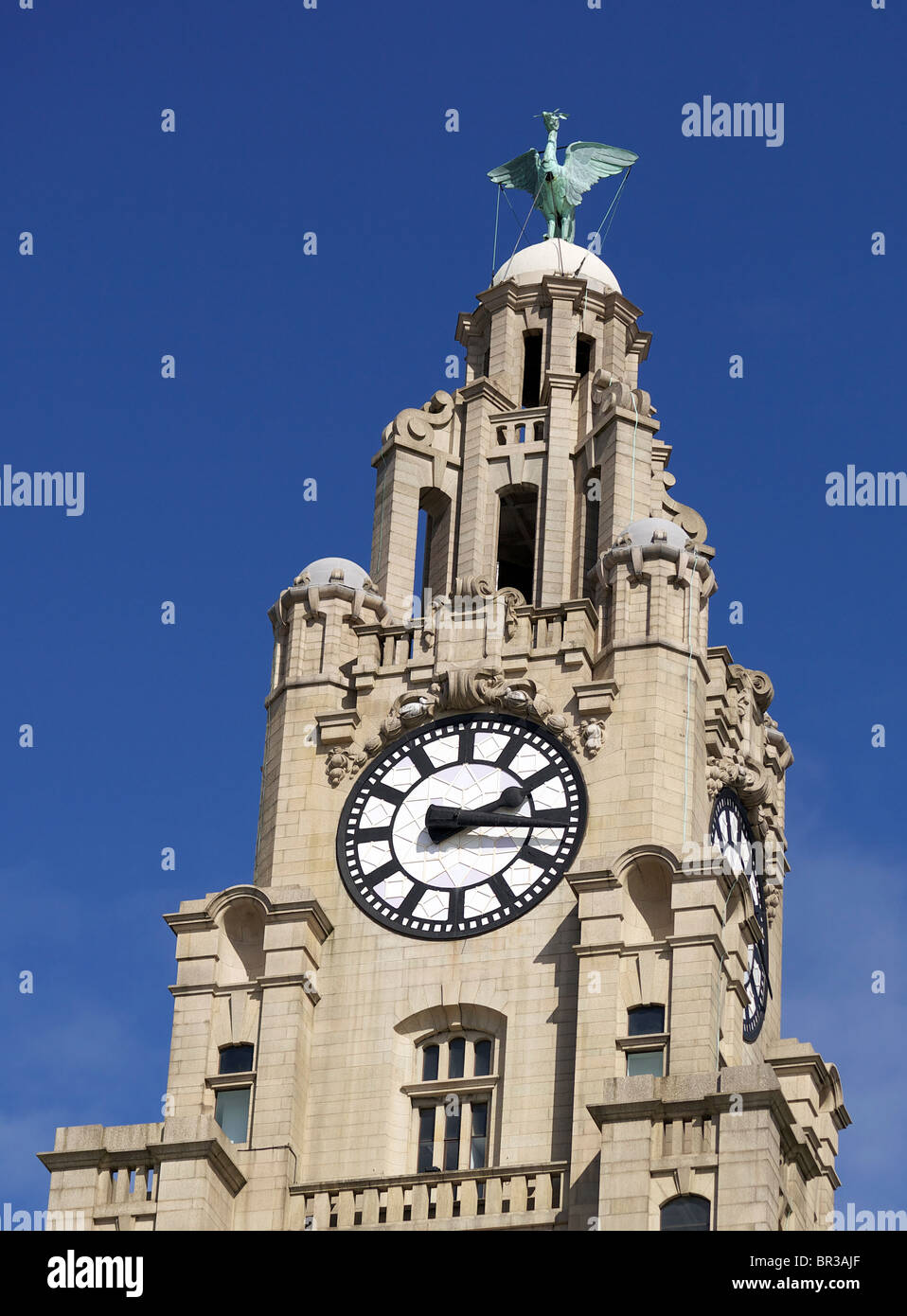 The Royal Liver building in Liverpool and clock and Liver bird Stock ...