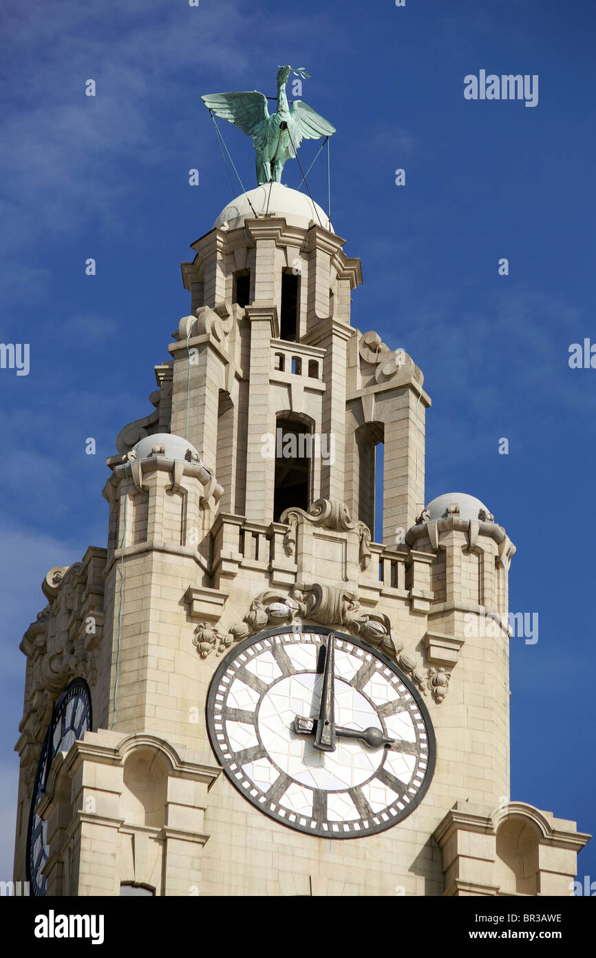 The Royal Liver building in Liverpool and clock and Liver bird Stock ...
