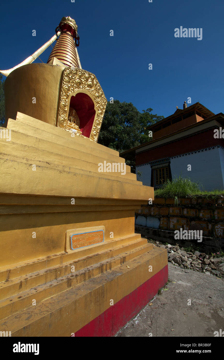 Gomba hi-res stock photography and images - Alamy