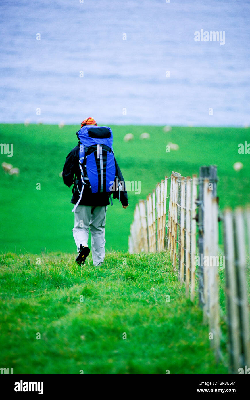 Man backpacking the beach on the Otago Peninsula of New Zealand's South ...