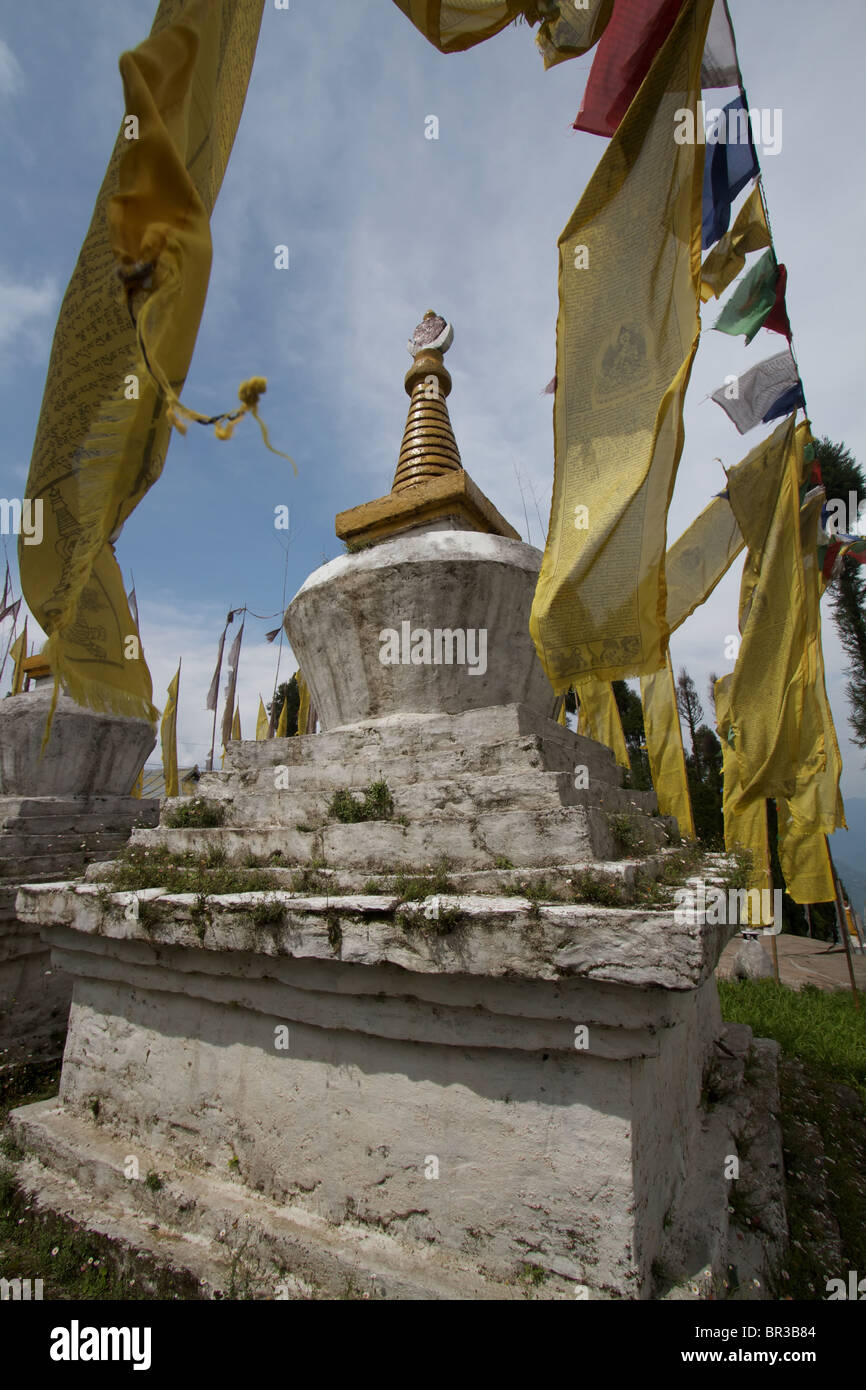 Gomba High Resolution Stock Photography and Images - Alamy