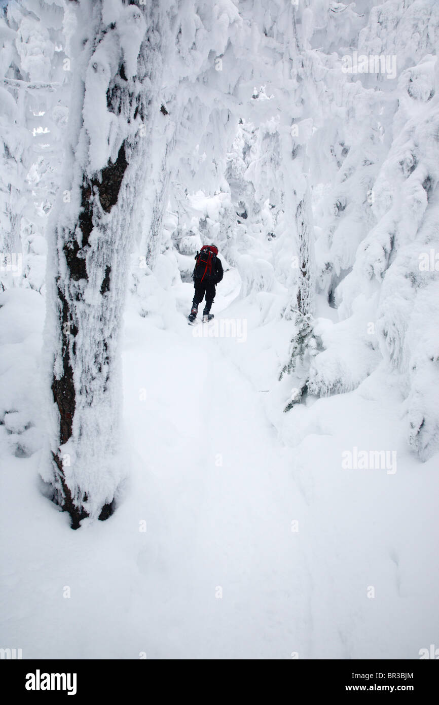 Franconia Notch State Park - Winter hiker in the White Mountains, New ...