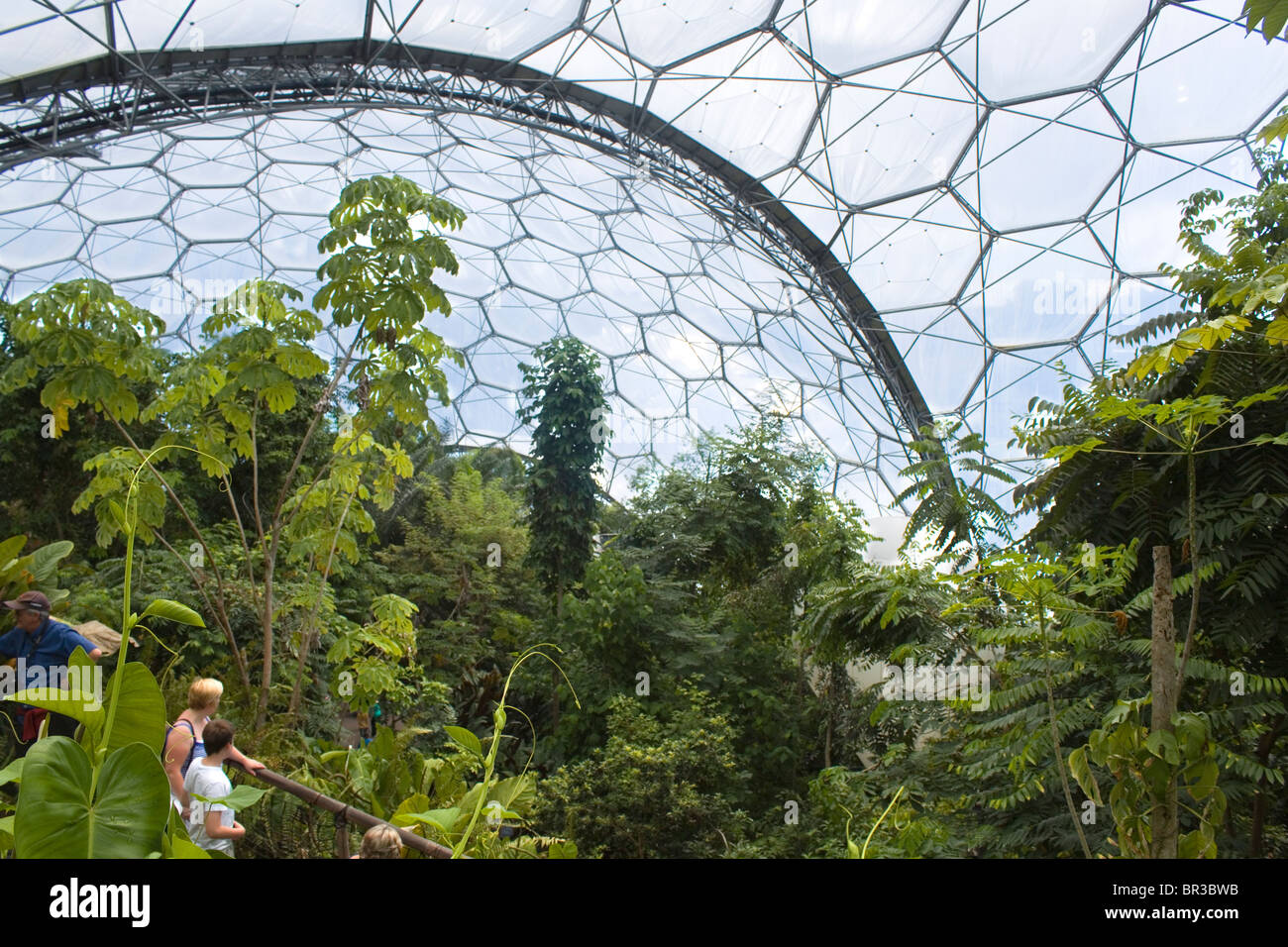 Eden tropical dome hi-res stock photography and images - Alamy