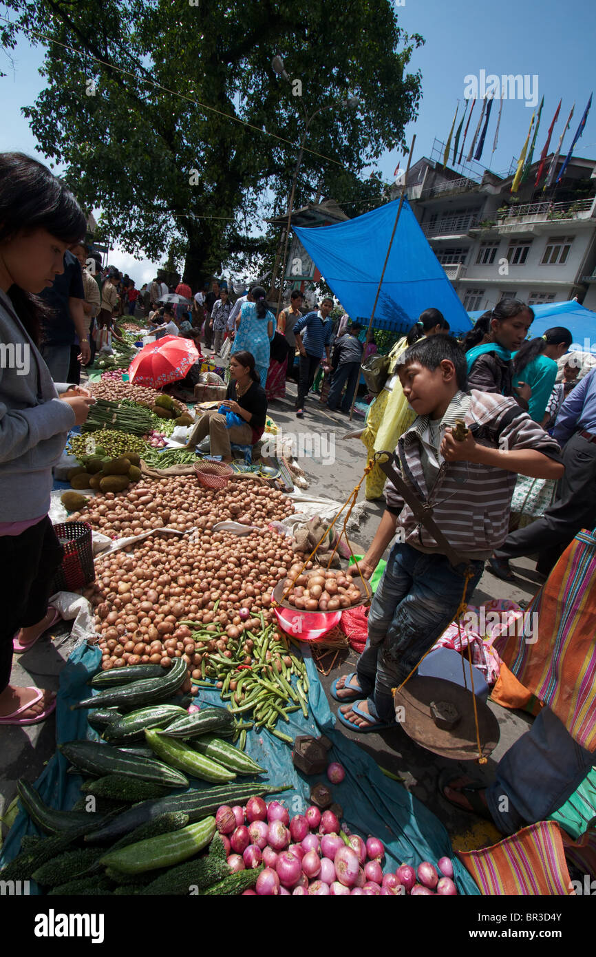 Geyzing hi-res stock photography and images - Alamy