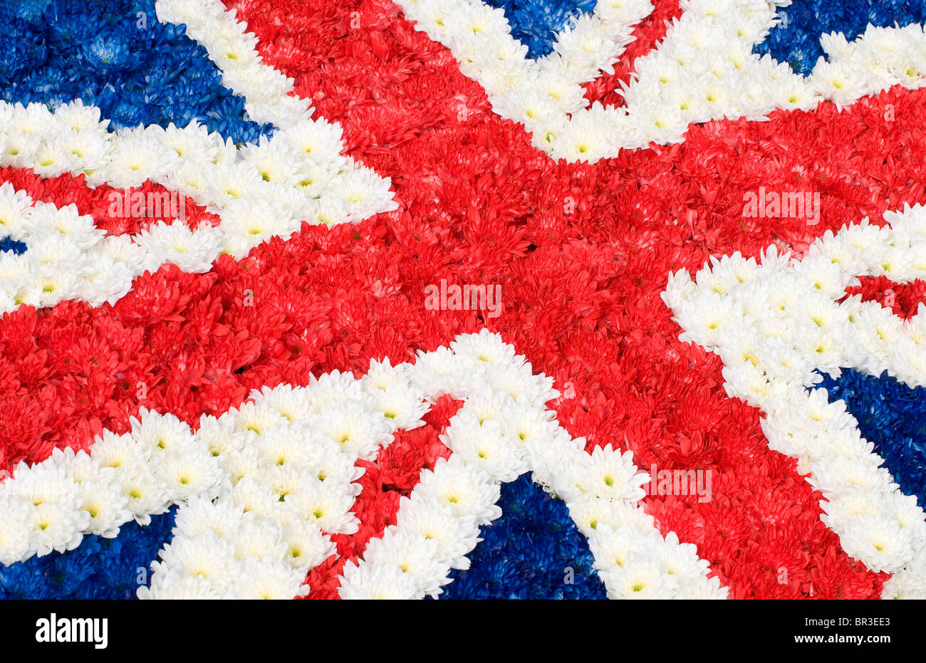 Union jack flowers hi-res stock photography and images - Alamy
