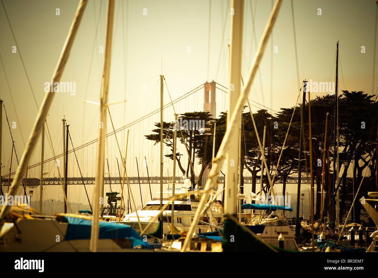 The Marina, boats and masts with the Golden Gate Bridge in the ...