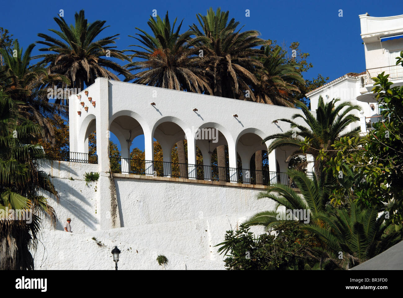 Nerja palm tree hi-res stock photography and images - Alamy