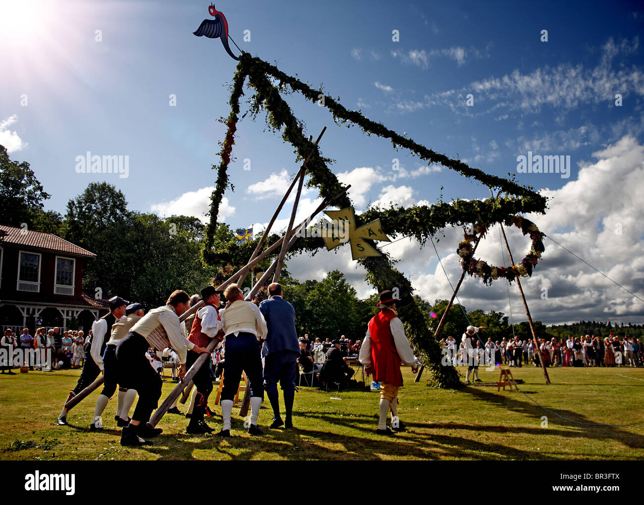 Men erect maypole on midsummer’s festival day. Naas castle estate ...