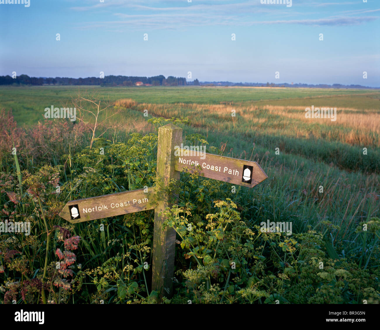 Peddars way and norfolk coast path hi-res stock photography and images ...