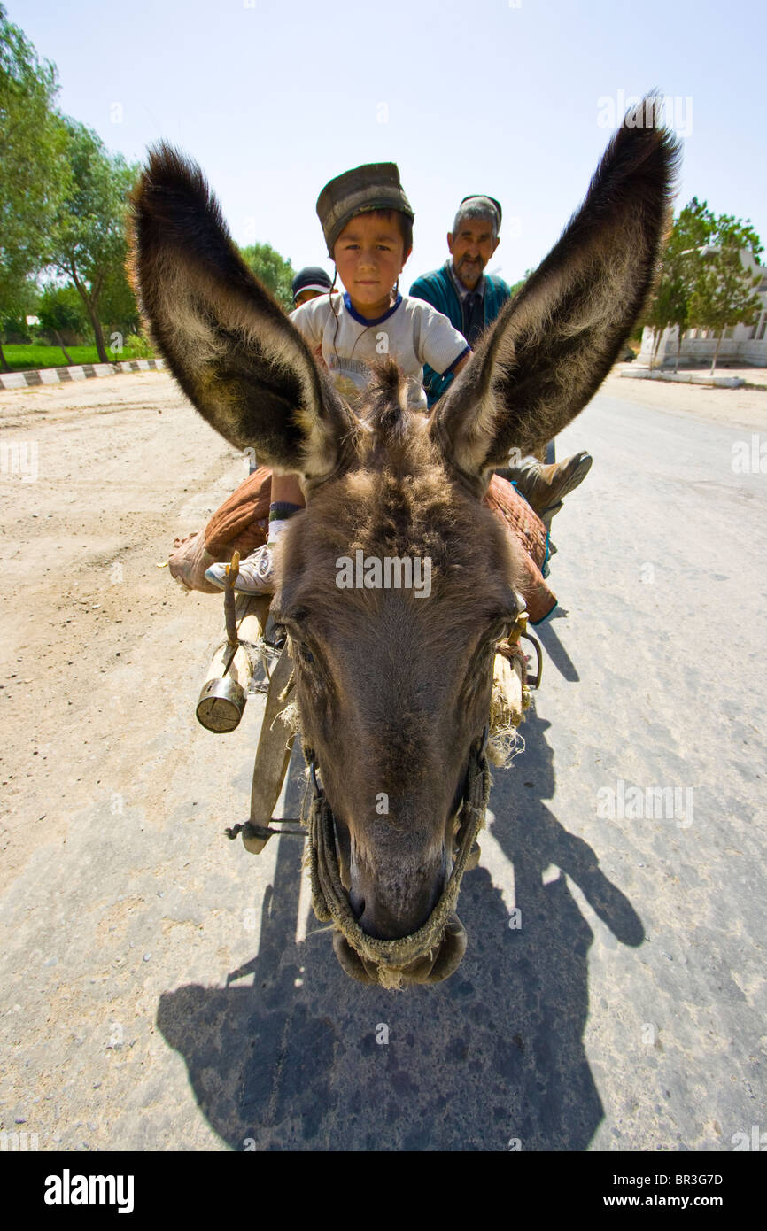 Boy riding a donkey kart in Penjikent, Tajikistan Stock Photo - Alamy