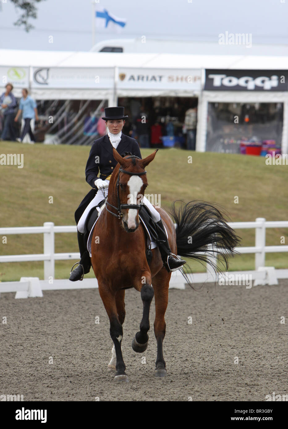 Competitor in a dressage competition Stock Photo - Alamy