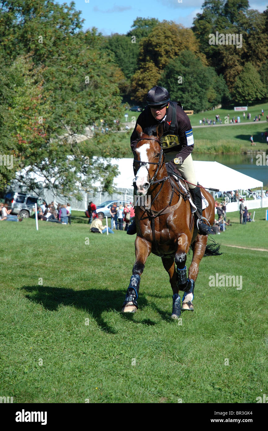 Horse and rider Stock Photo - Alamy