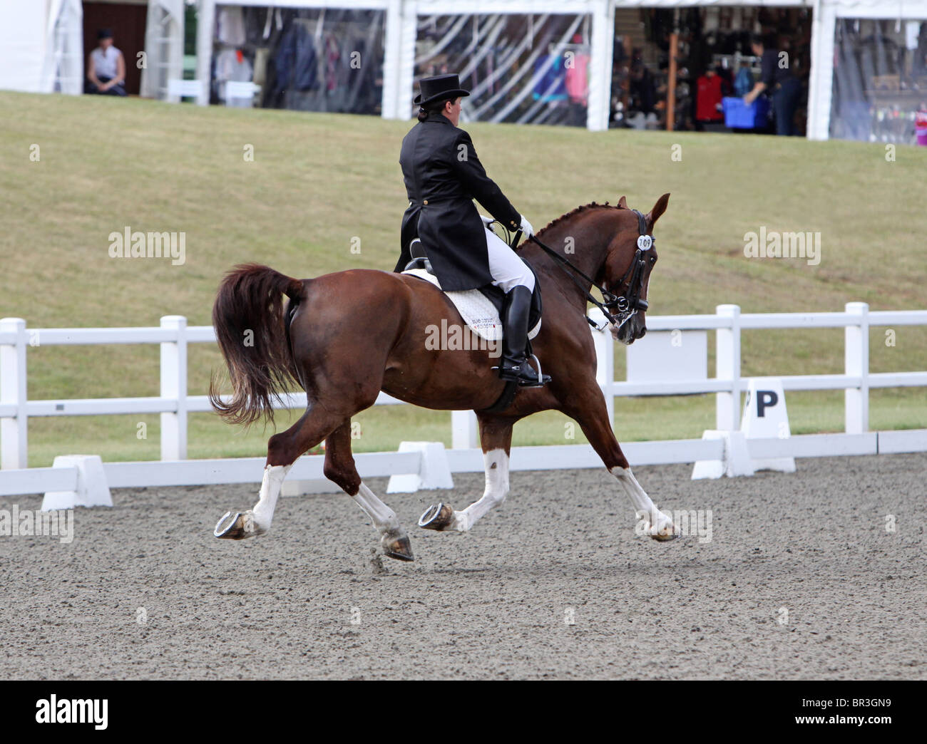 Competitor in a dressage competition Stock Photo - Alamy