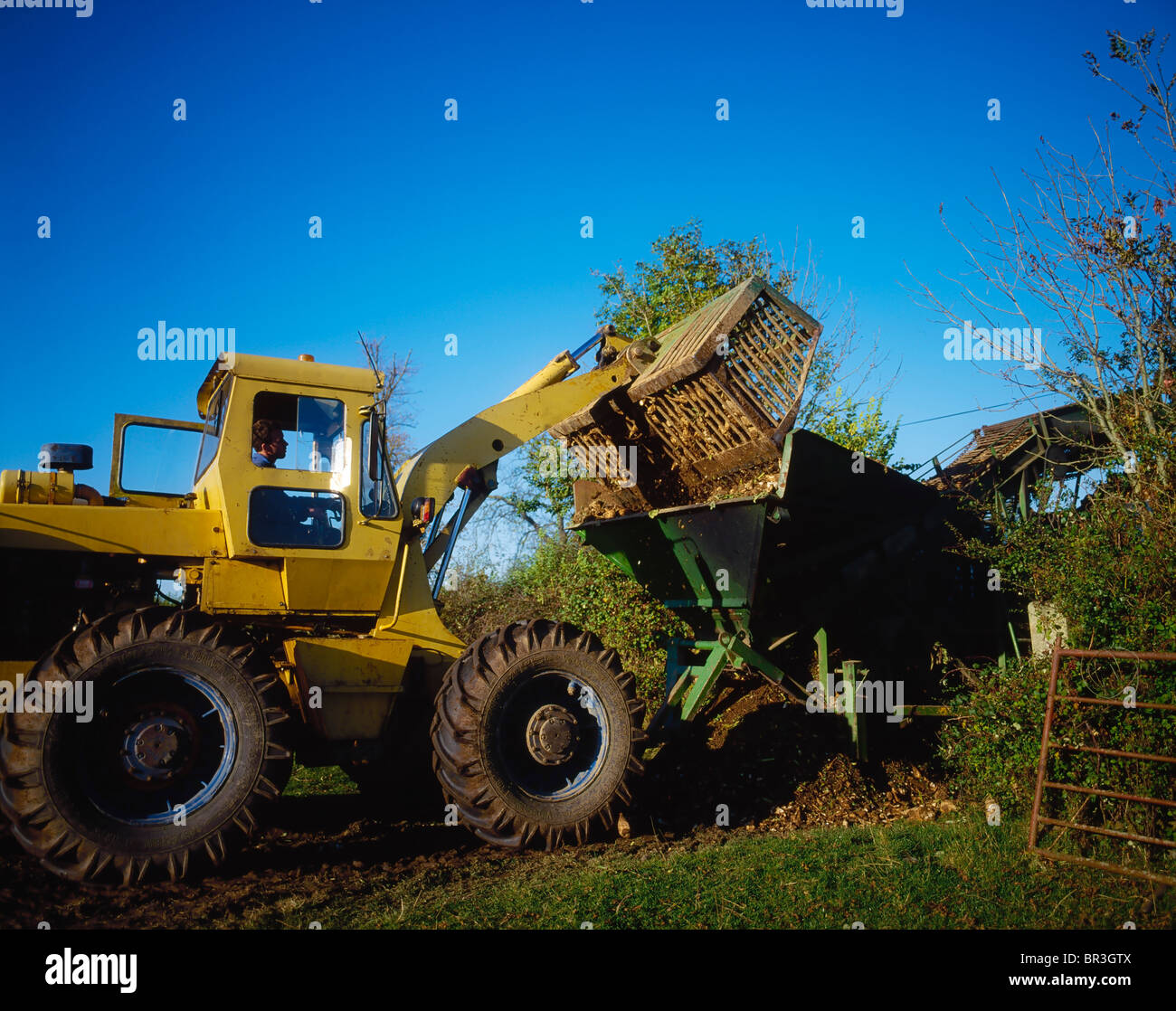 Sugar Beet Harvesting Machine High Resolution Stock Photography and ...