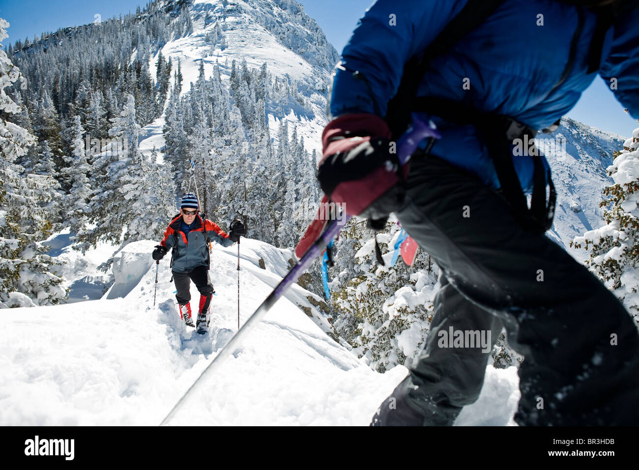 Two people boot-packing while backcountry skiing in deep powder, Santa ...