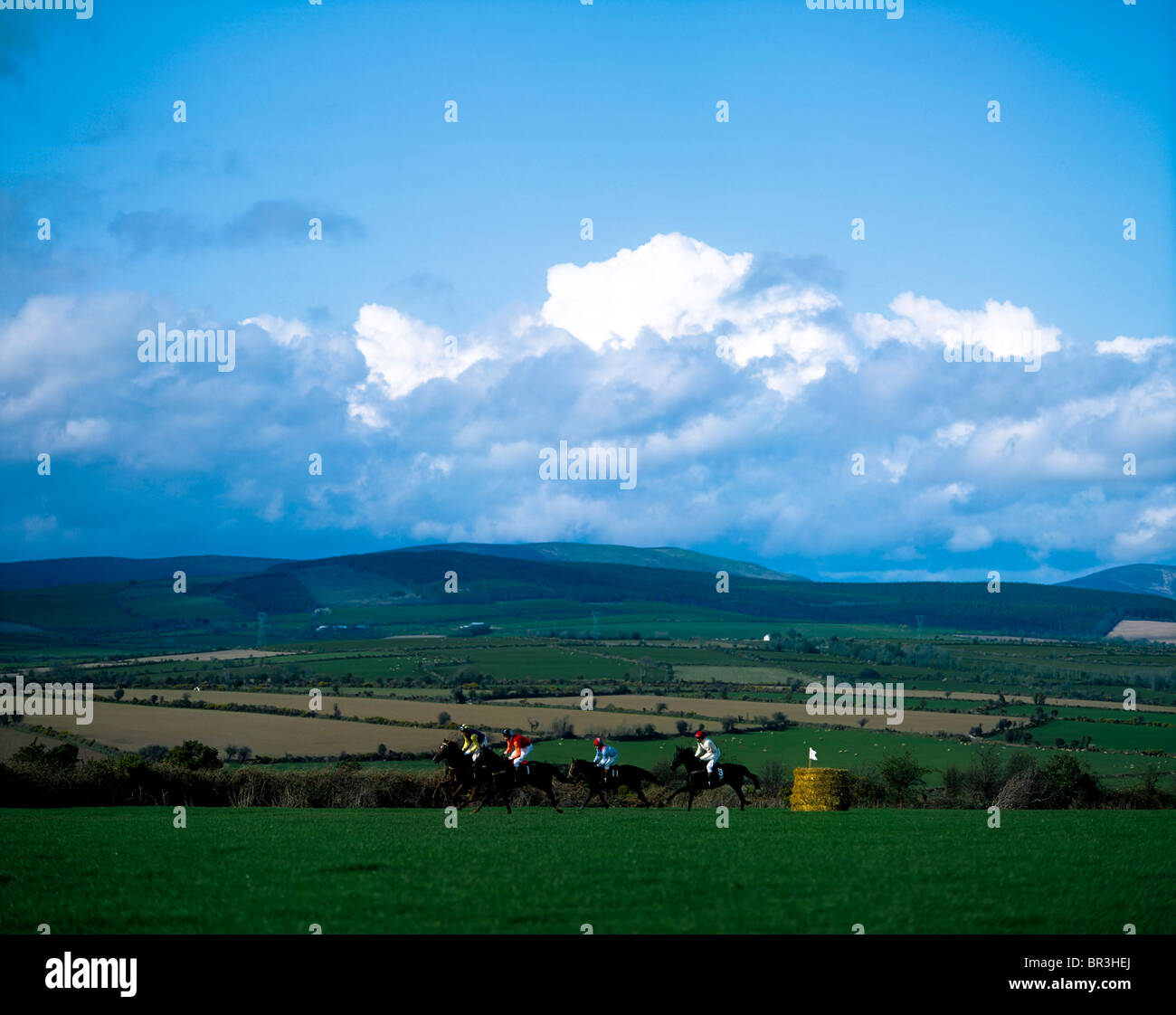 Gorey, Co Wexford, Ireland, Horse Racing Stock Photo - Alamy