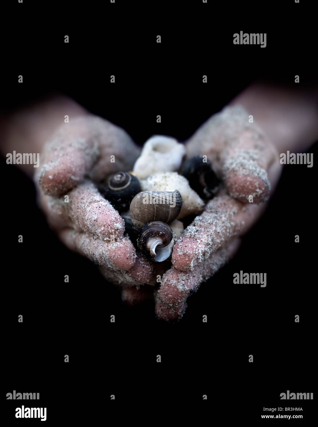 Detail of hands covered in sand holding sea shells, Maine, New England ...