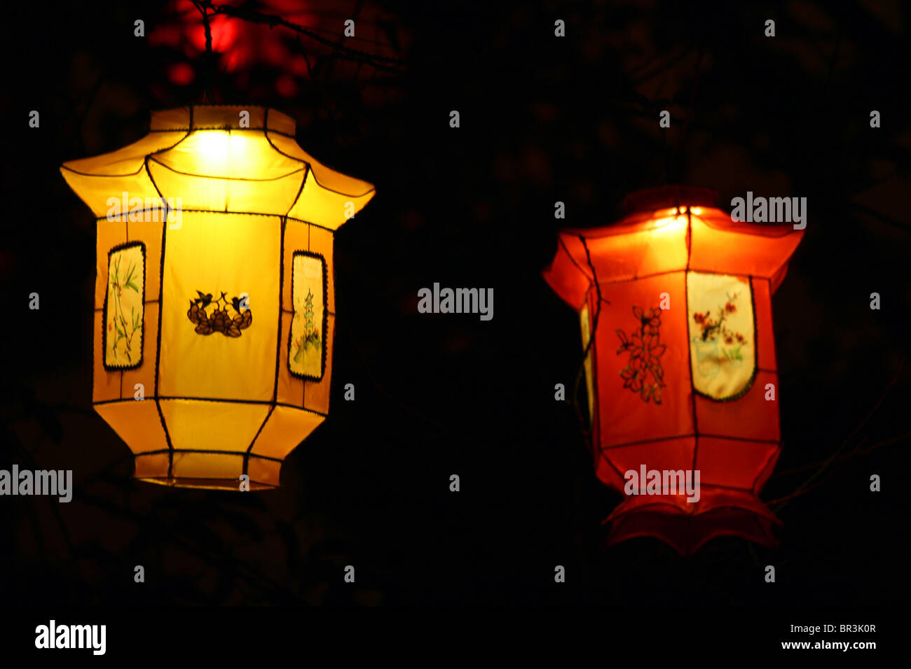 Chinese lanterns at the Magic of lanterns festival in Montreal ...