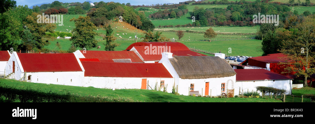 Sheep field fanad hi-res stock photography and images - Alamy
