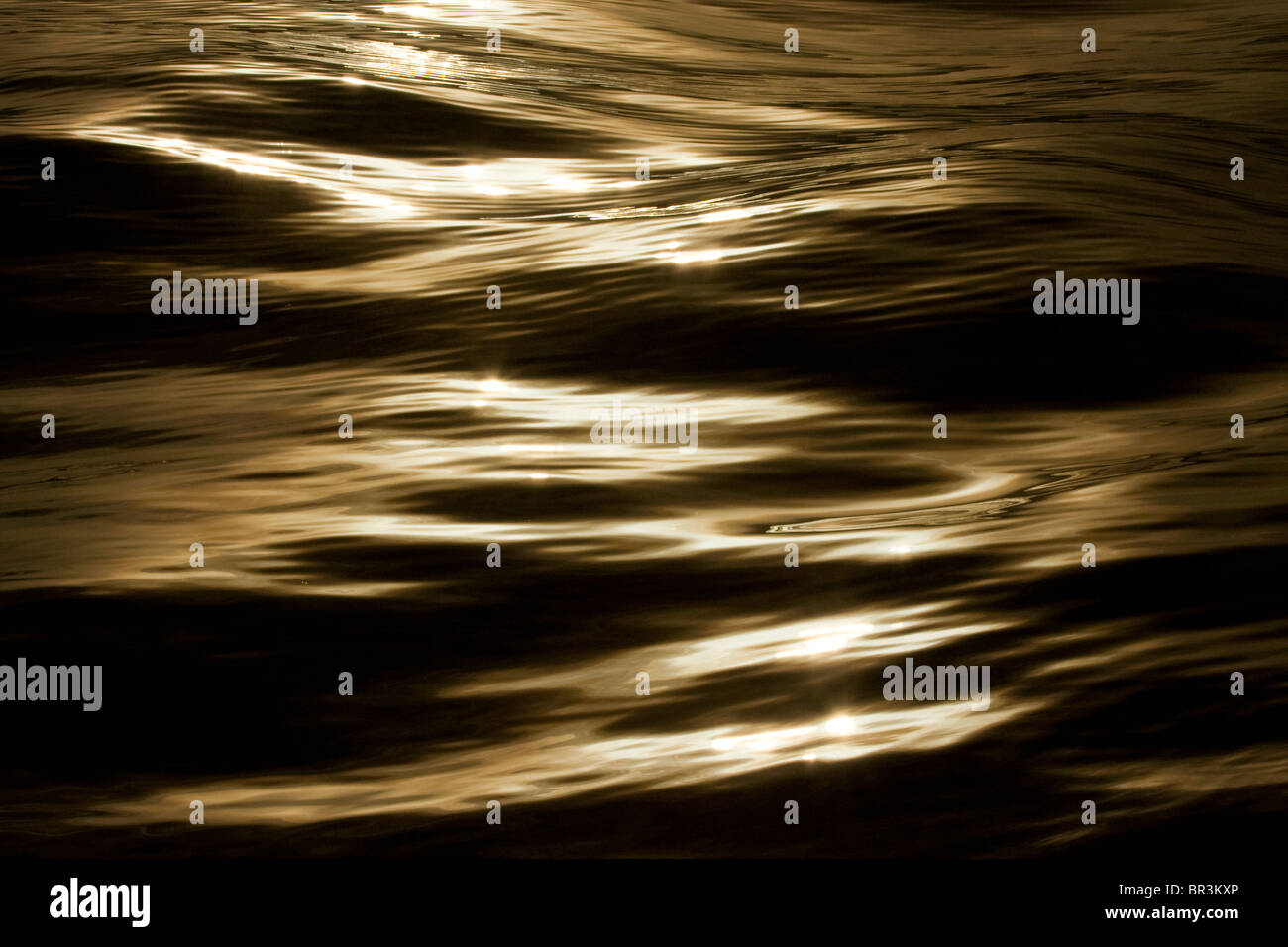 Natural light photography techniques hi-res stock photography and ...