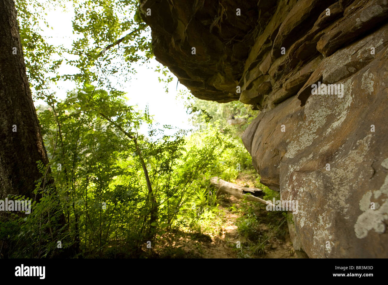 Nature scene in Alabama Stock Photo - Alamy