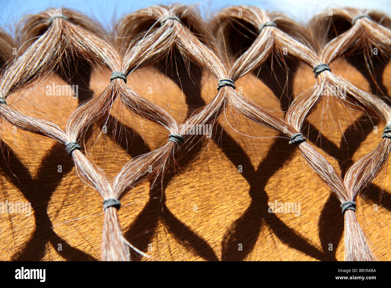 Color mane hi-res stock photography and images - Alamy