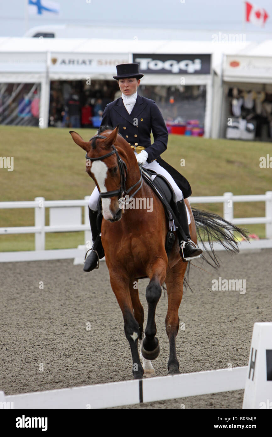 Competitor in a dressage competition Stock Photo - Alamy