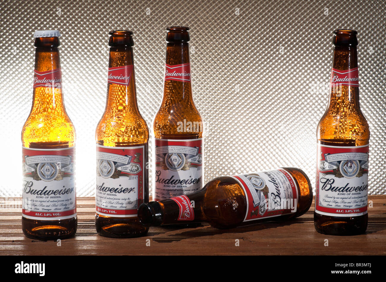 Bottles of Budweiser Beer Stock Photo - Alamy