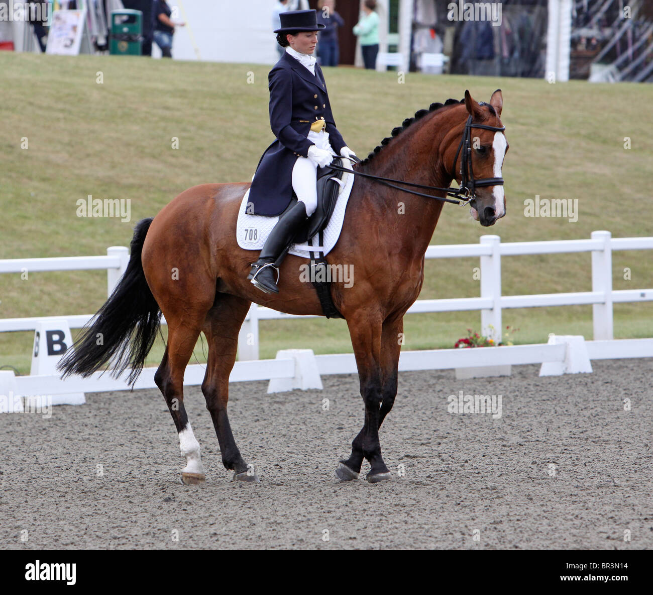 Competitor in a dressage competition Stock Photo - Alamy