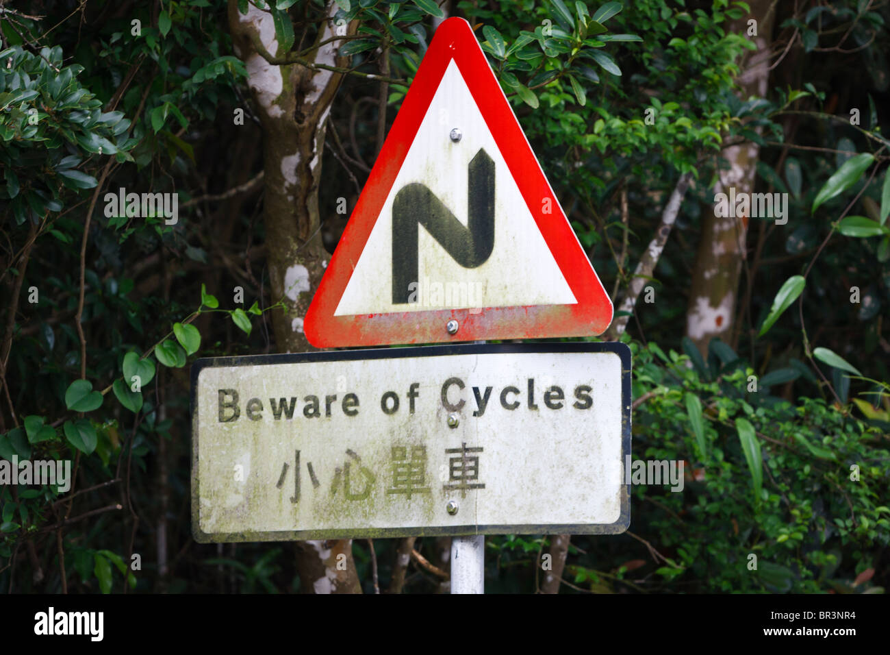 Strange road signs, this one with a winding road hazard sign and at ...
