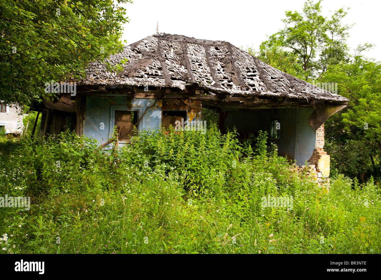 Old abandoned ruined house covered in vegetation Stock Photo - Alamy