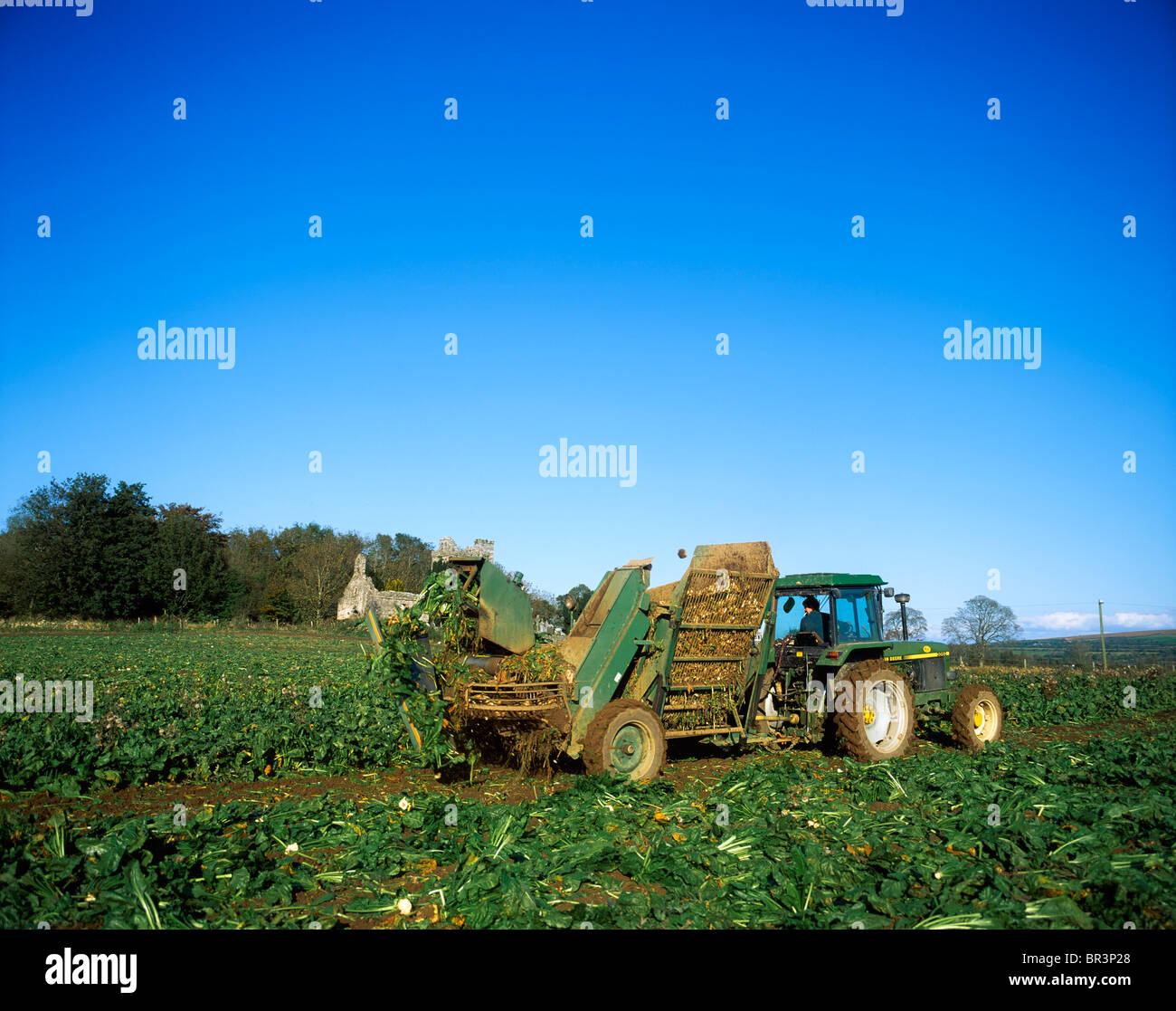 Sugar Beet Harvesting Machine High Resolution Stock Photography and ...